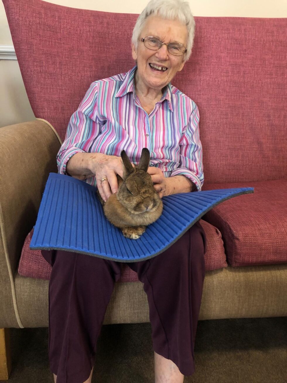 Fairlight | Nursing Home